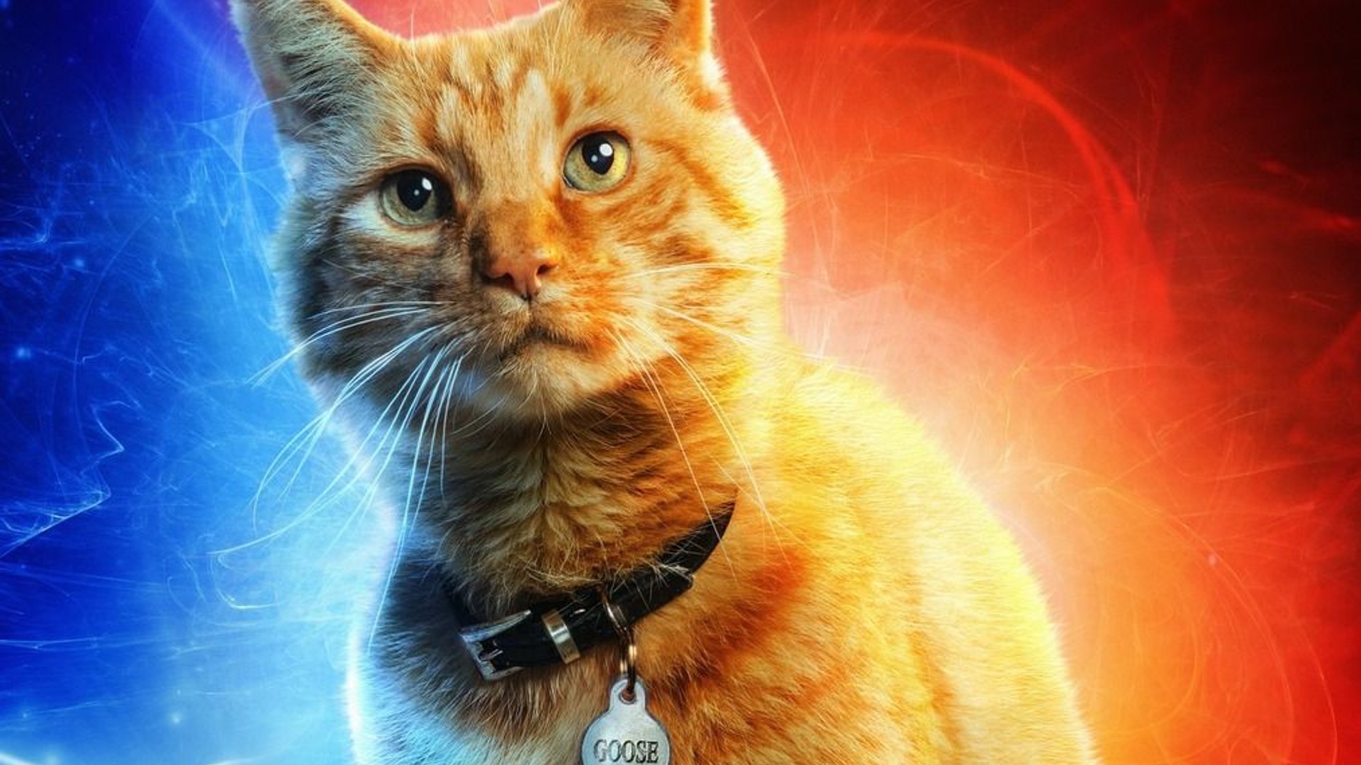 Captain Marvel : critique sans/avec spoilers