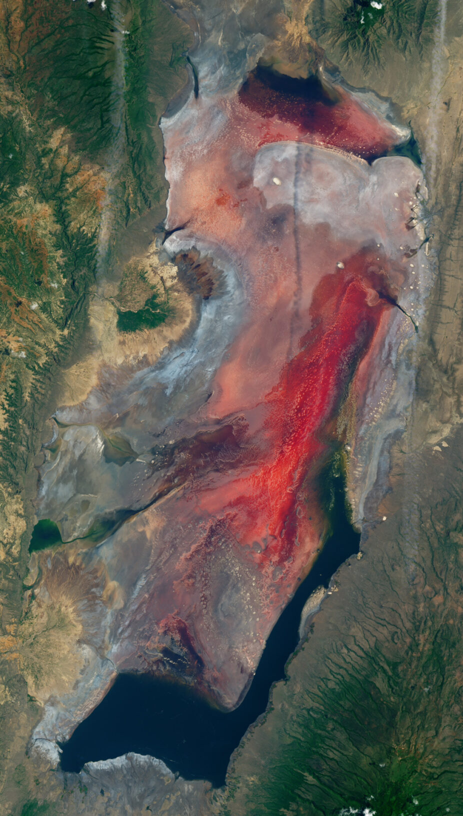Le lac Natron : quand la nature transforme les animaux en momies