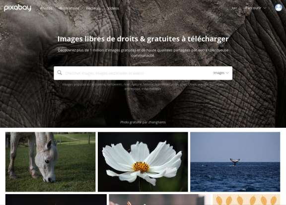 Télécharger Pixabay (gratuit) sur Web, iOS, Android - La logithèque
